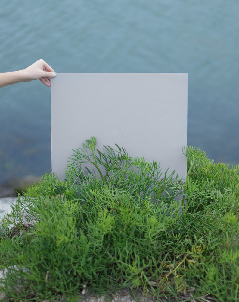 A RECOLETORA — Funcho-marítimo